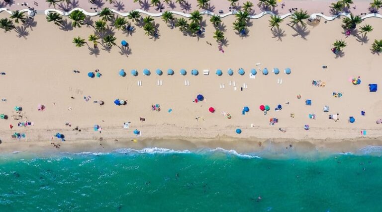 CME Conferences For 2026 | CME for NPs and PAs | Skin Bones CME